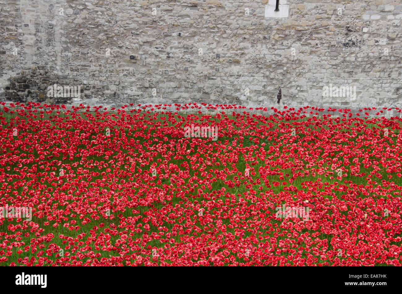 World War One Poppy Display at The Tower of London Stock Photo - Alamy