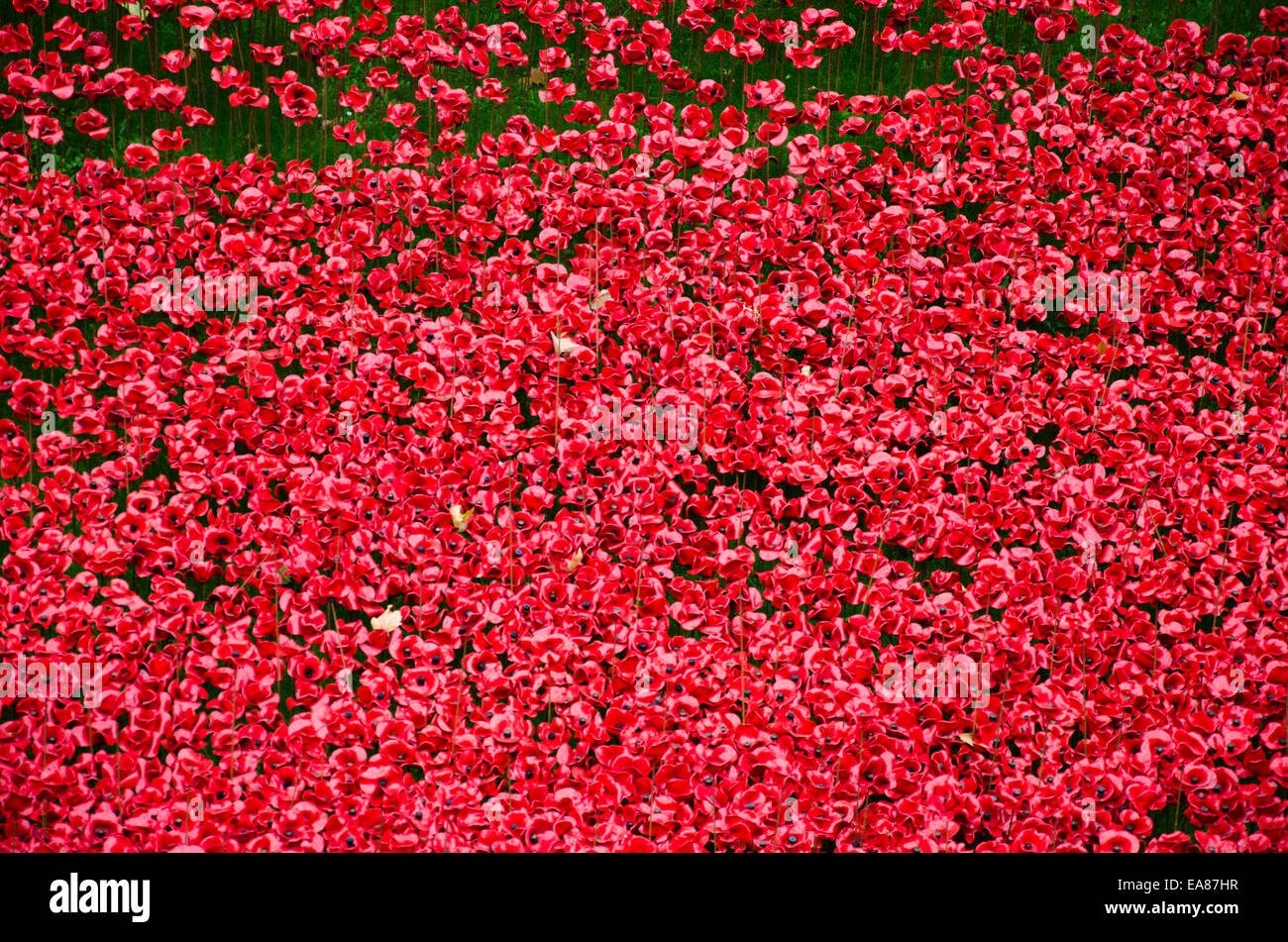 World War One Poppy Display at The Tower of London Stock Photo - Alamy