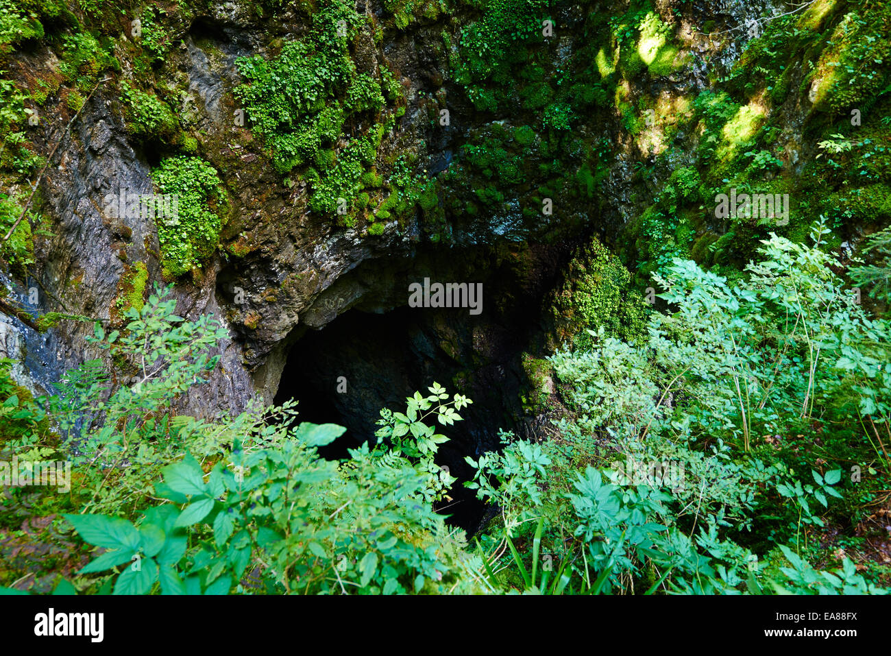 Sinkhole doline karst hi-res stock photography and images - Alamy