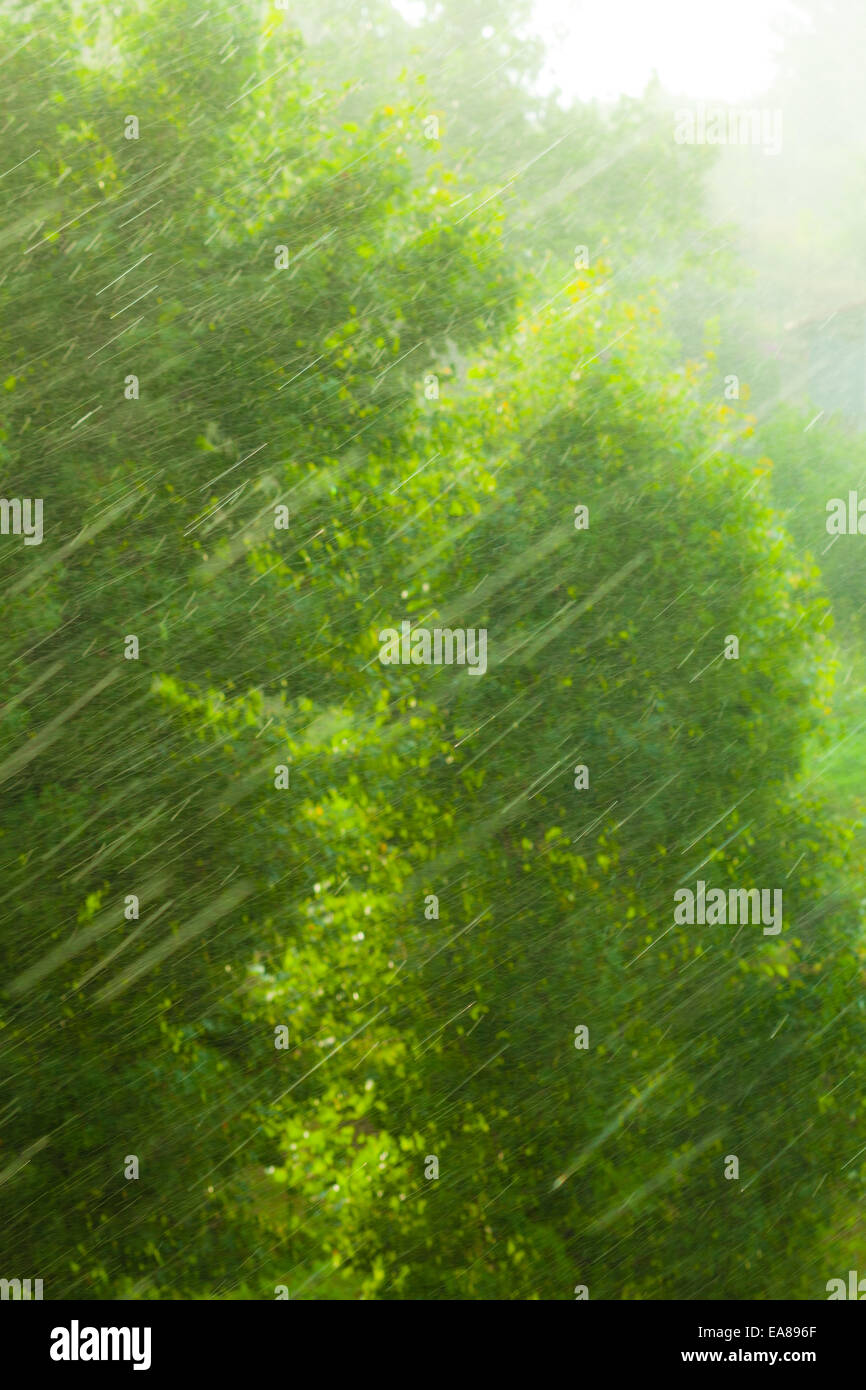 Summer rainy outside window, water drops droplets raindrops on glass windowpane as background ...