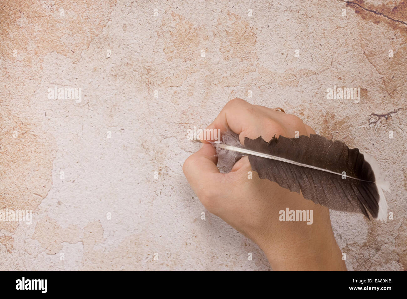 Hand holding feather writing hi-res stock photography and images - Alamy