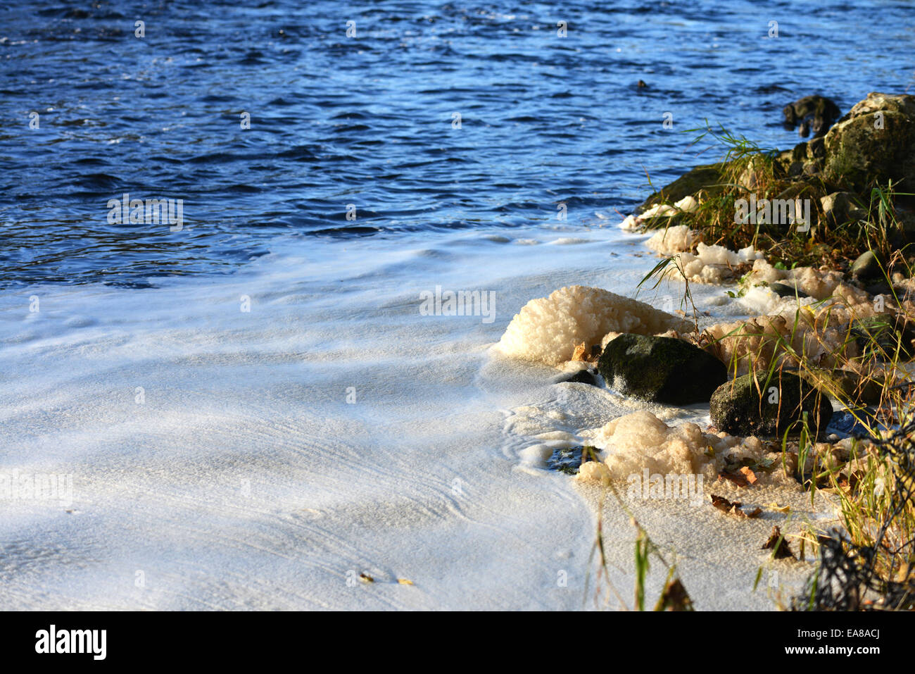 River scum hi-res stock photography and images - Alamy