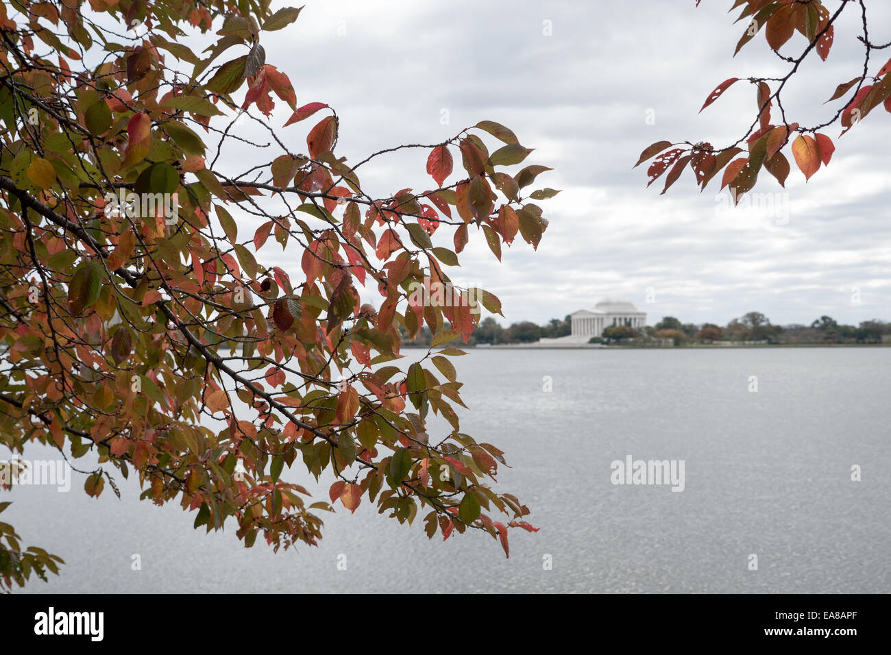 Autumn at the tidal basin hi-res stock photography and images - Alamy