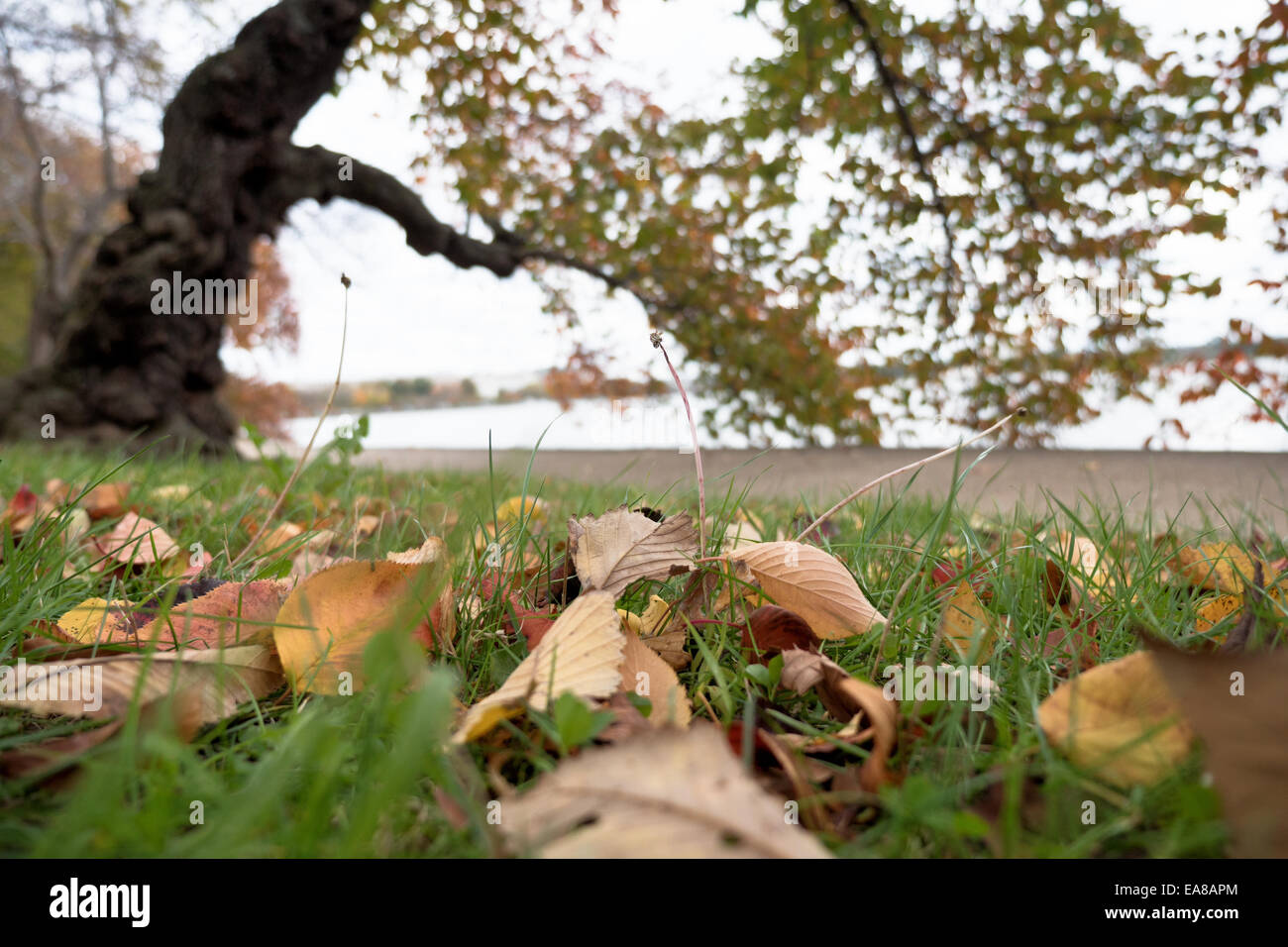 Tidal fall hi-res stock photography and images - Alamy