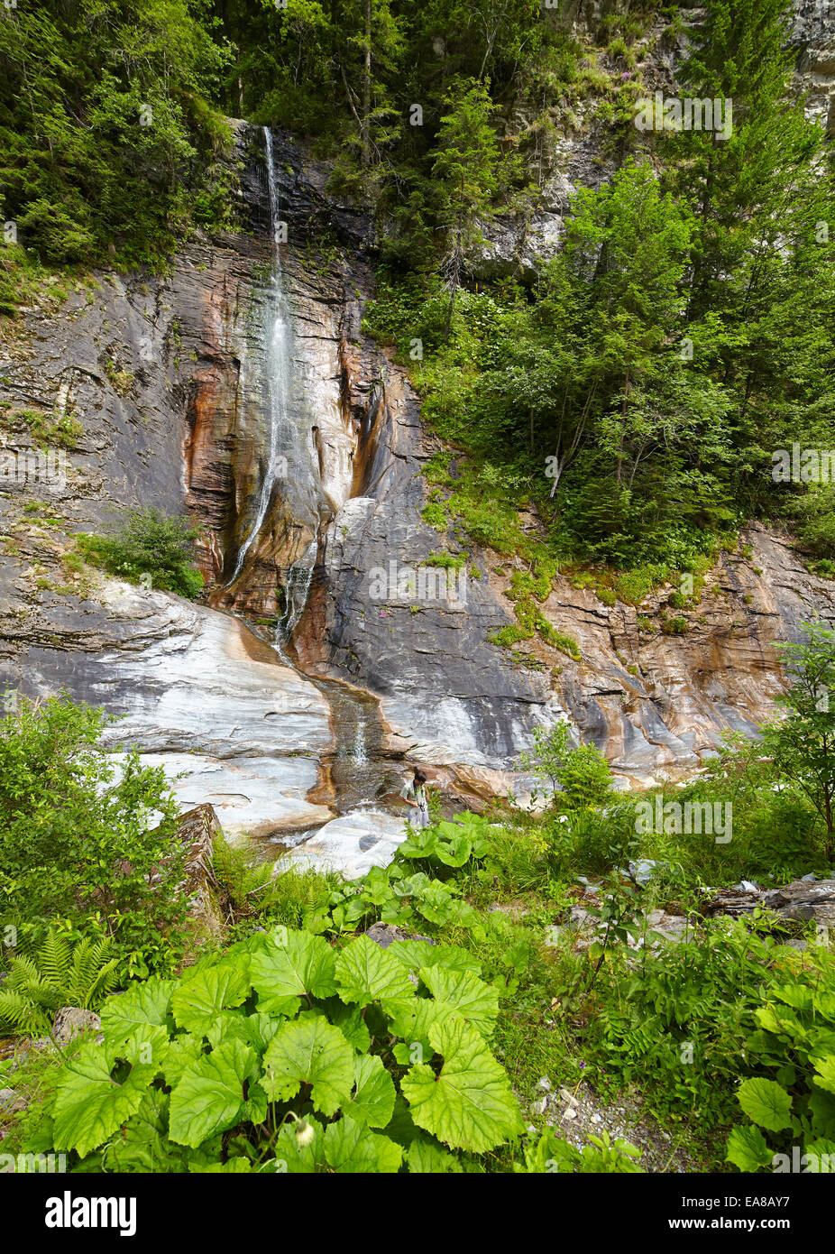 Apa Spanzurata waterfall in Latoritei Valley in Romania Stock Photo - Alamy
