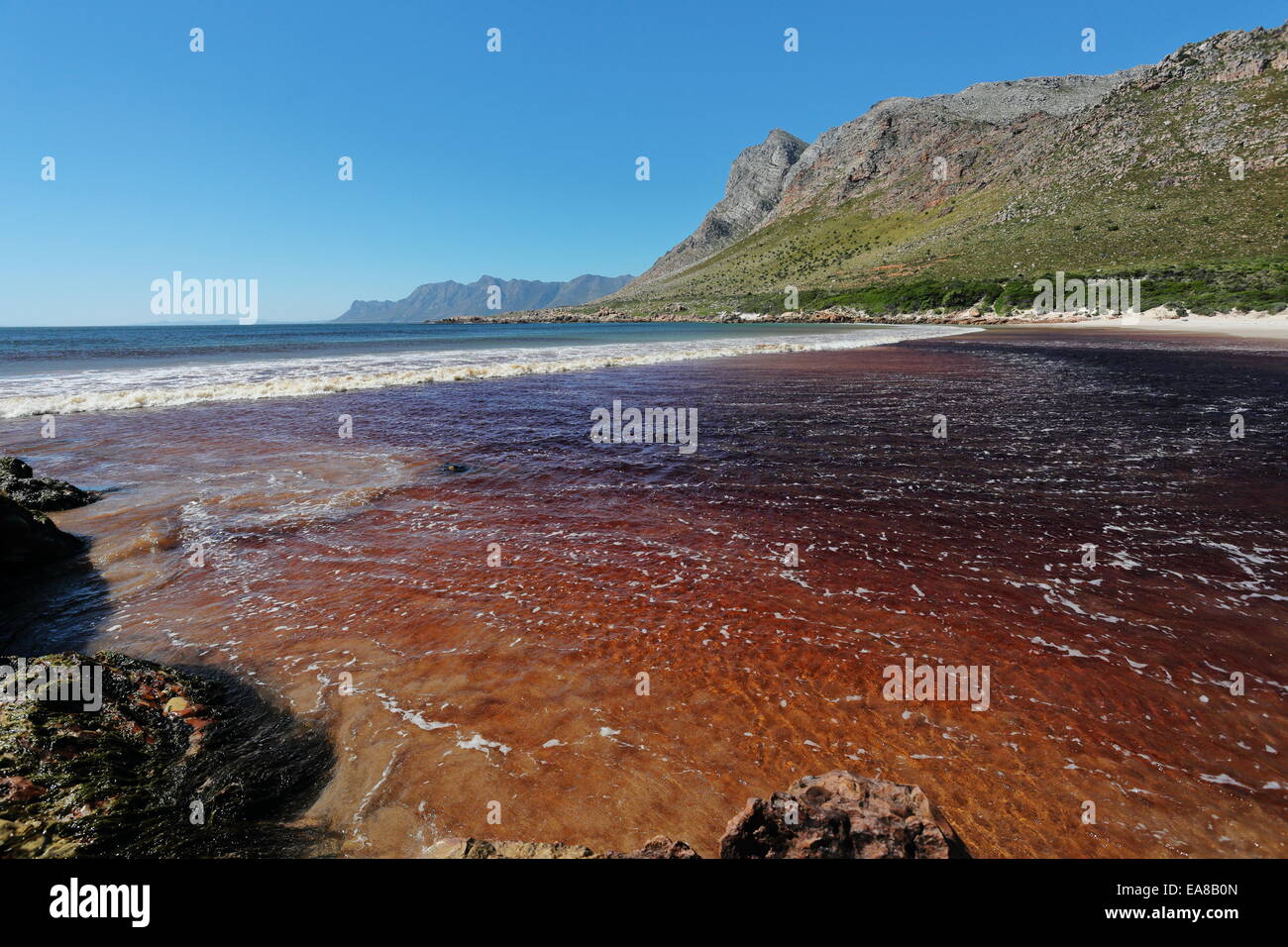 Rooiels river lagoon Stock Photo - Alamy