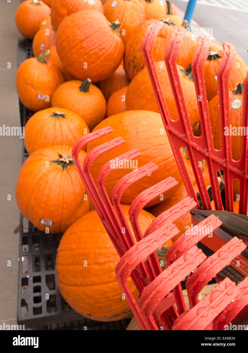 A Halloween, Thanksgiving and fall display outside a small town store ...