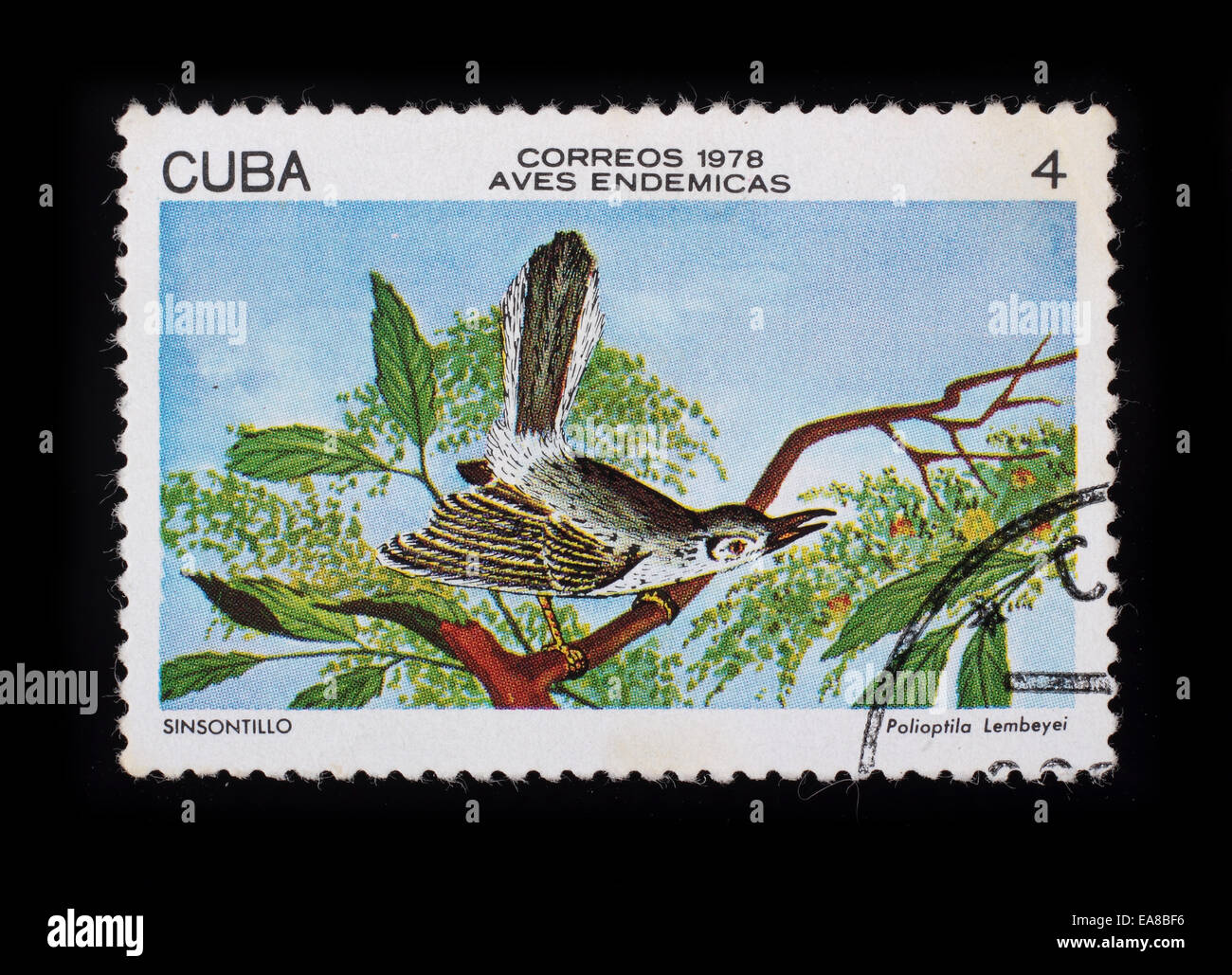 Cuba - circa 1978: A post stamp printed in the Cuba shows image of ... Cuba - circa 1978: A post stamp printed in the Cuba shows image of ...
