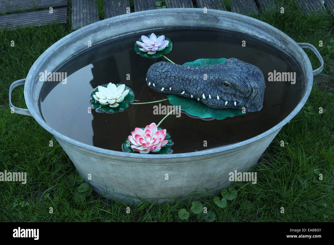 Plastic floating head of a crocodile in a wash tub. Kitsch example in ...