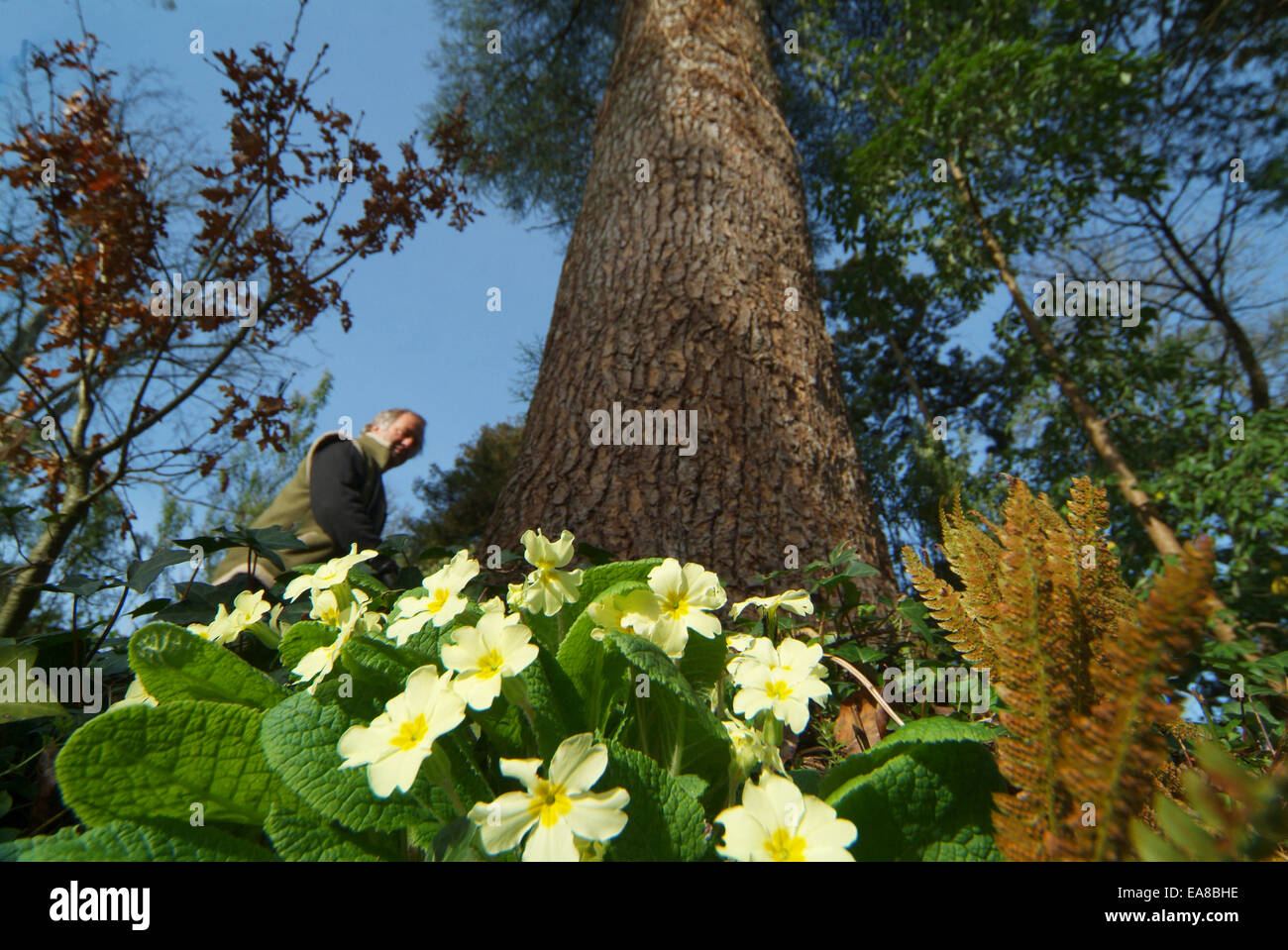 Man worms eye view hi-res stock photography and images - Alamy
