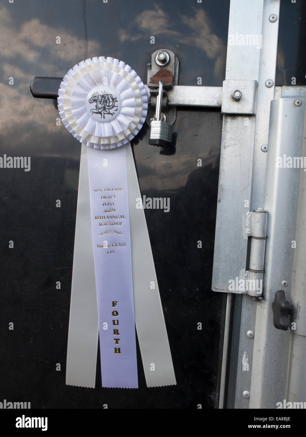 Fourth place ribbon at the New England Draft Pony Association round-up ...