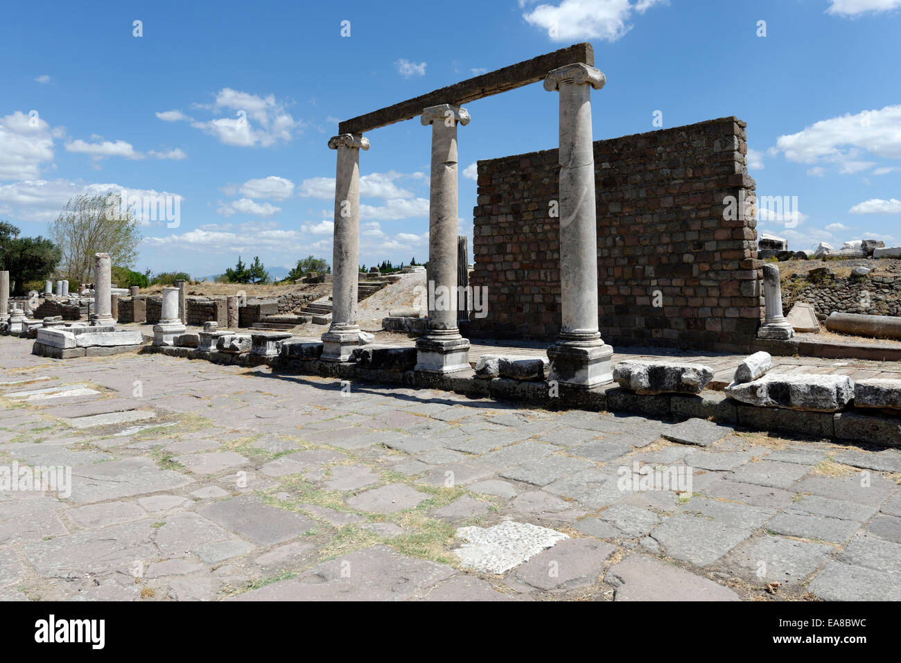 Section of the ionic colonnade along the ancient paved street (Via ...