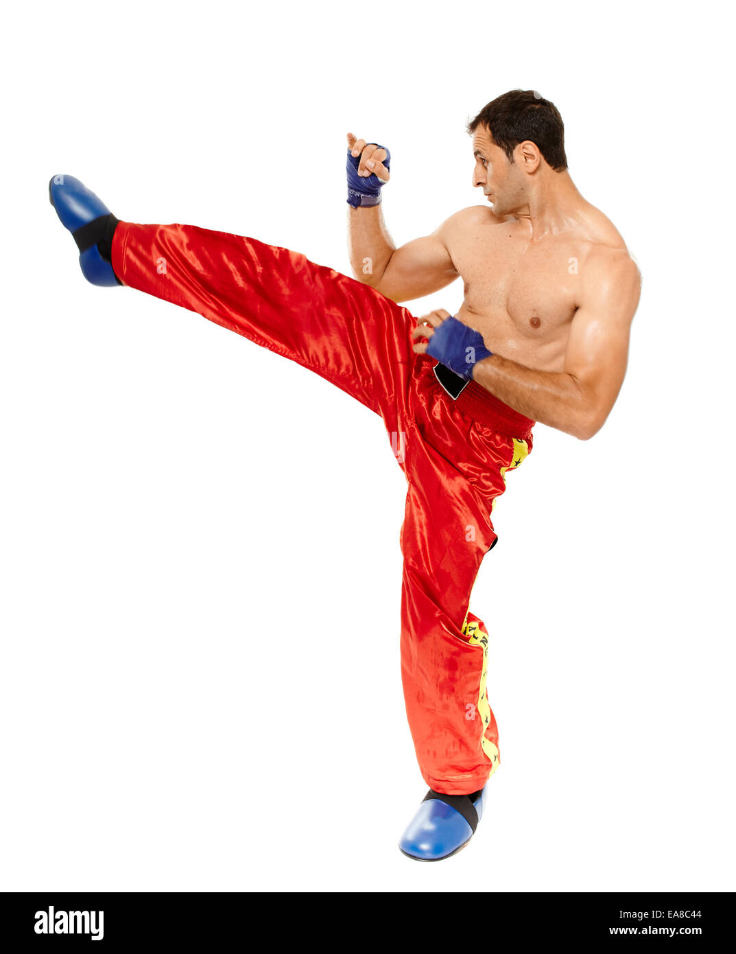 Muay thai or kickboxer executing a powerful kick, isolated on white ...