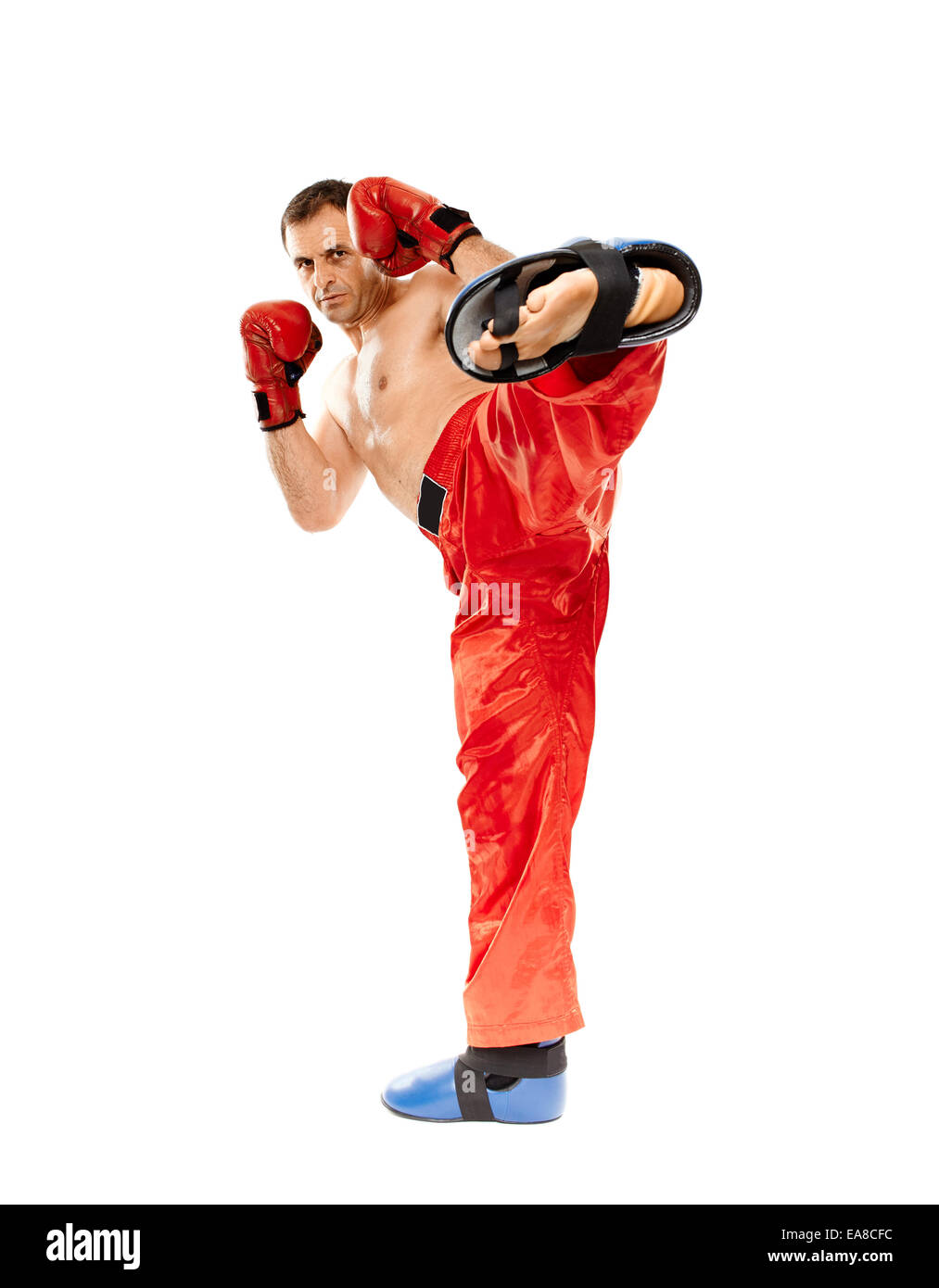 Muay thai or kickboxer executing a powerful kick, isolated on white ...