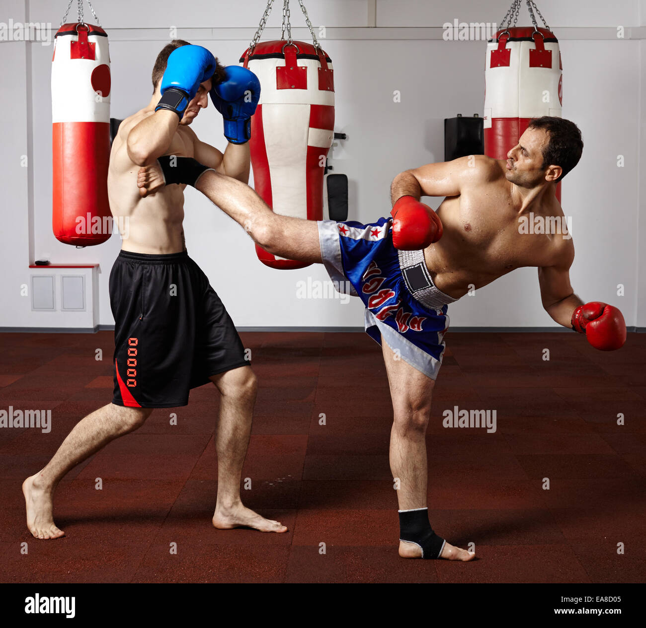 Two young kickbox fighters training in the gym Stock Photo - Alamy