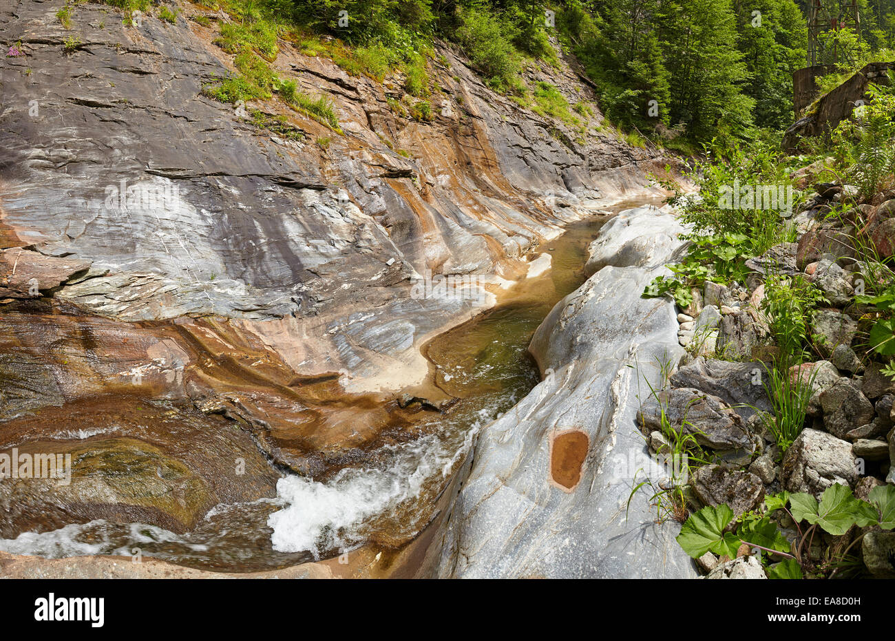 River in the Latoritei Valley in Romanian mountains Stock Photo - Alamy