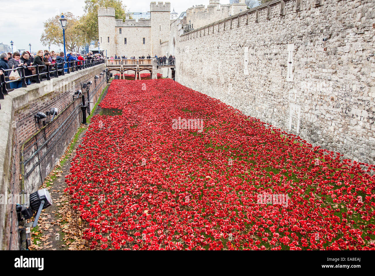 Commemorative display of ceramic poppies in the moat at the Tower of ...