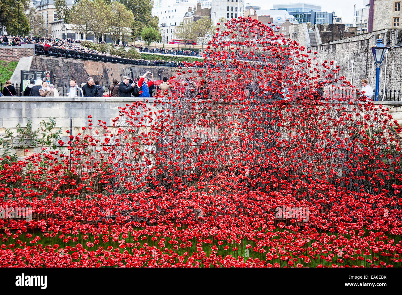Commemorative display of ceramic poppies in the moat at the Tower of ...