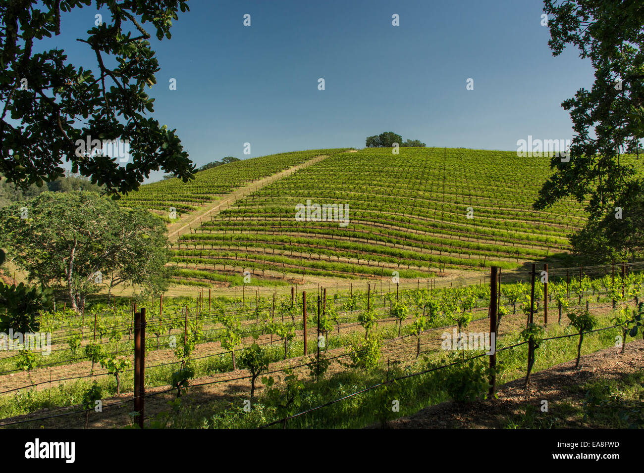 Spring valley farm hi-res stock photography and images - Alamy