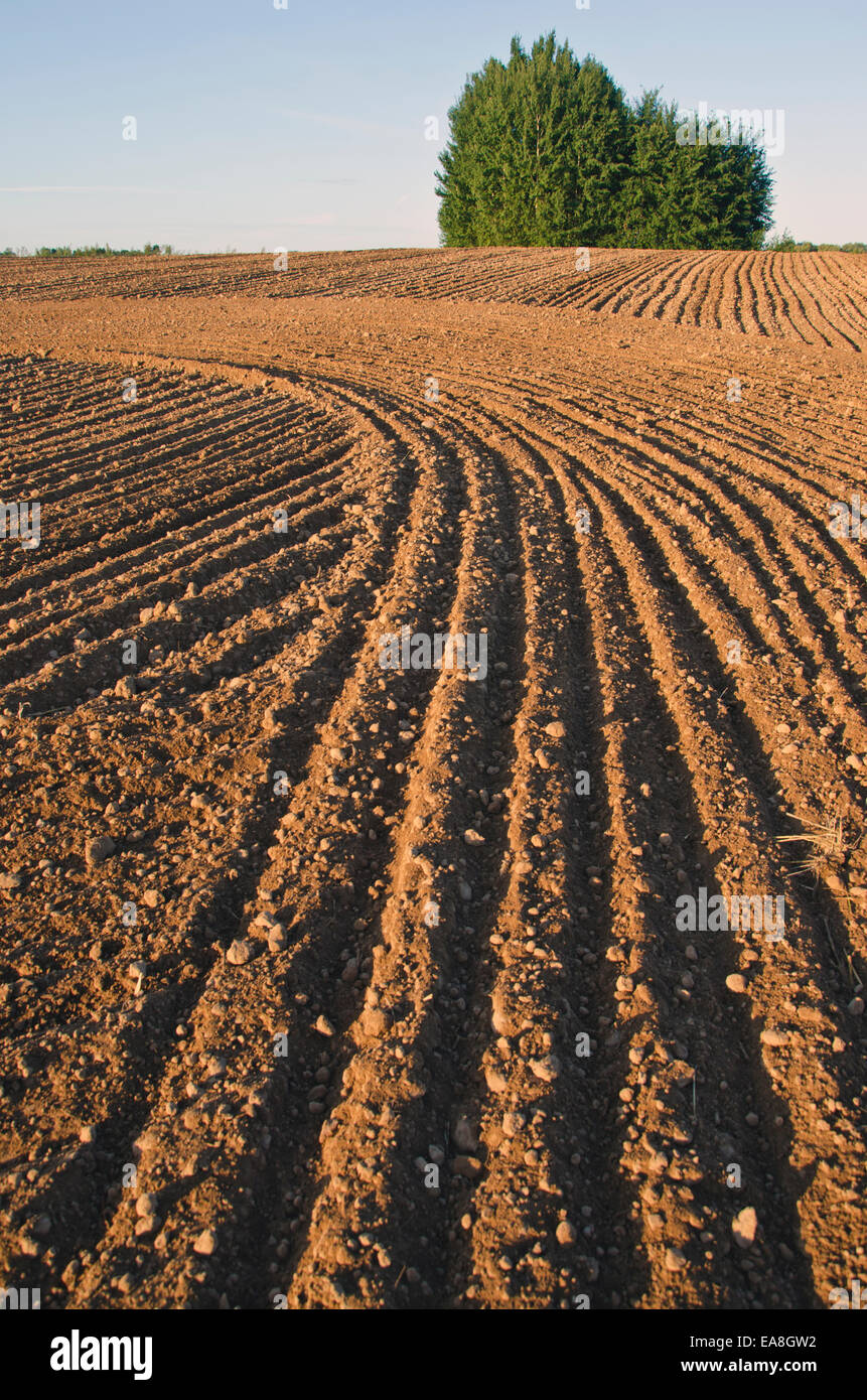 cultivated farm field agriculture landscape Stock Photo - Alamy