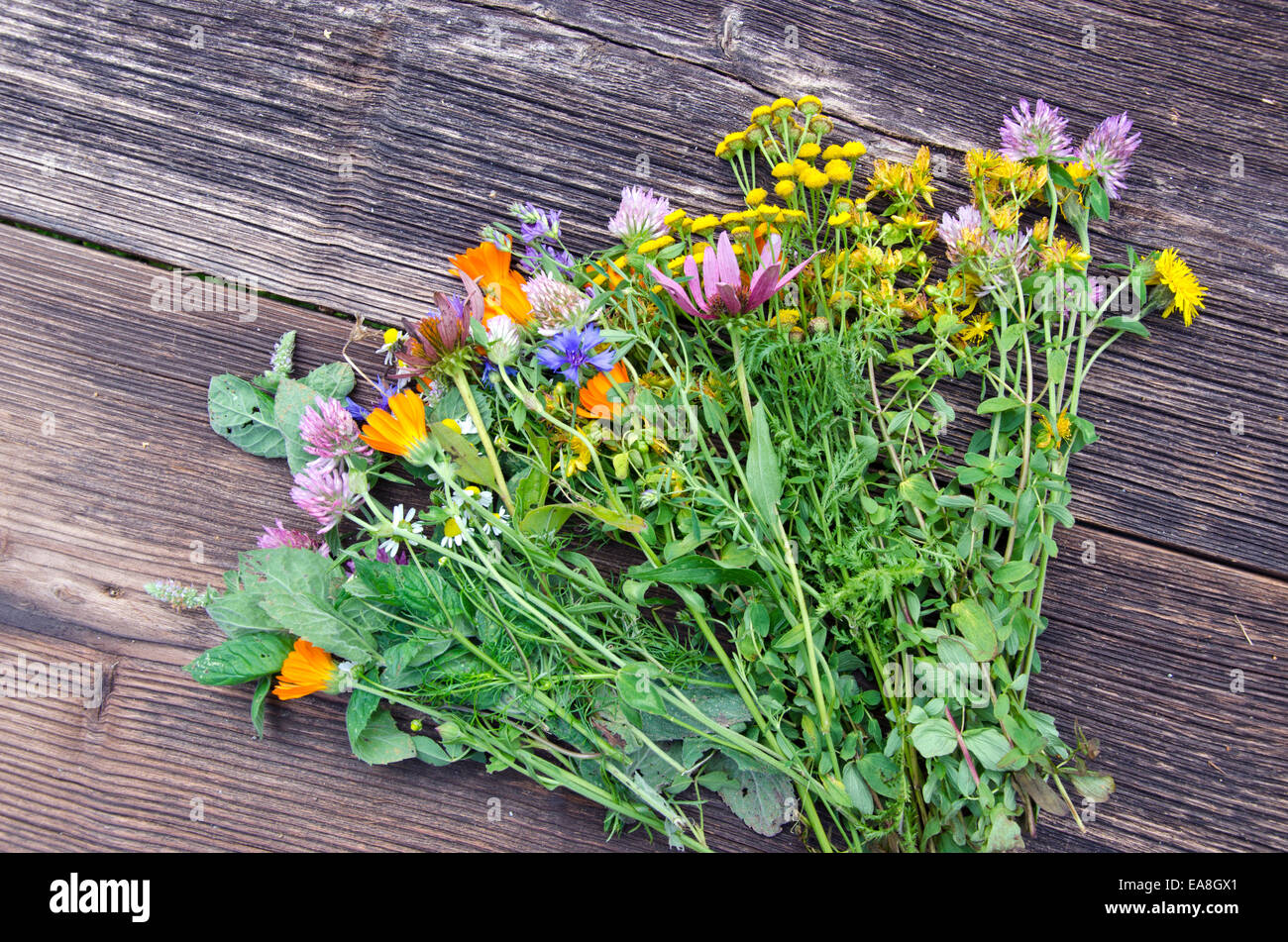 Medical flowers hi-res stock photography and images - Alamy