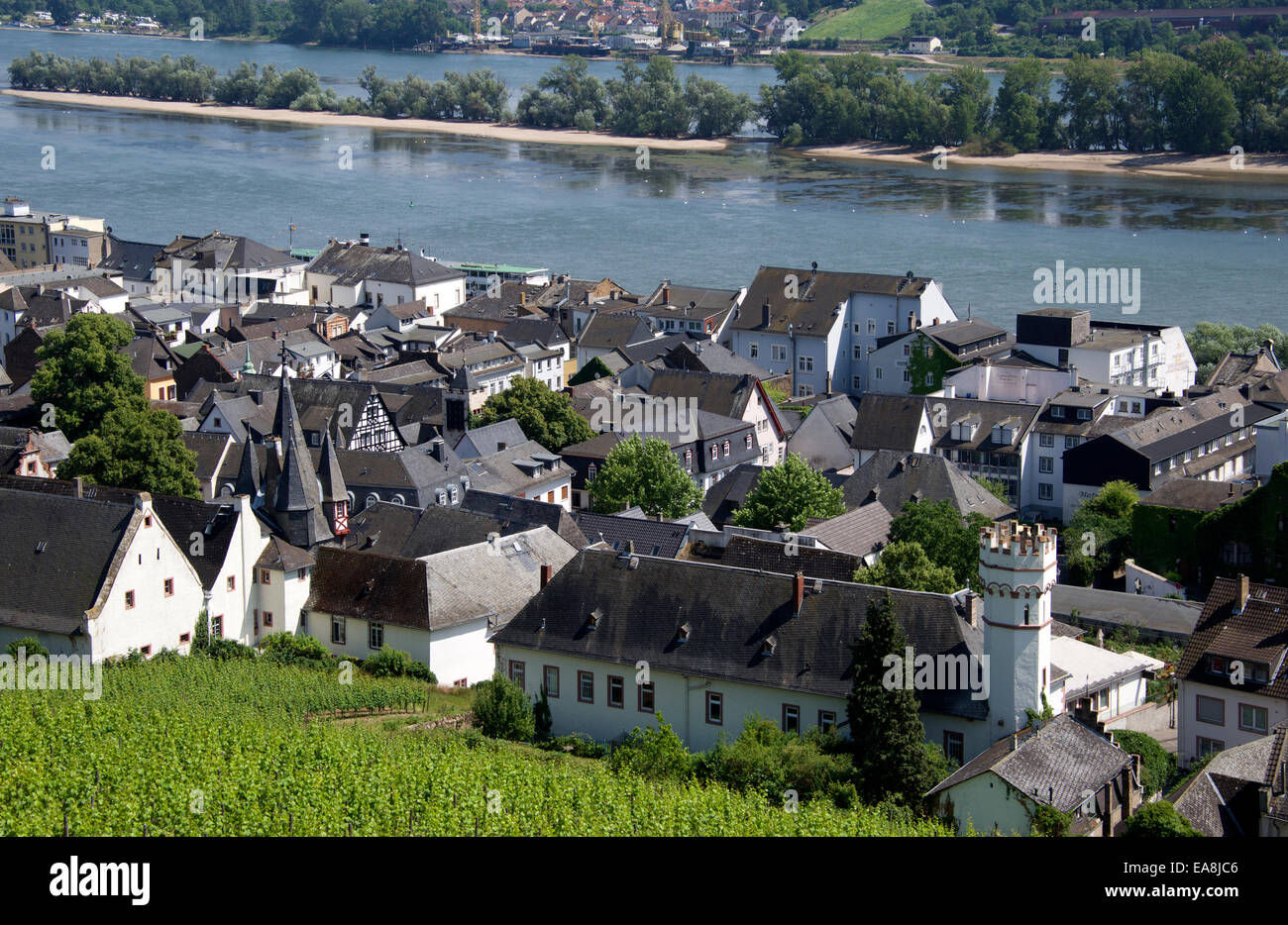 Top view of Rudesheim and Rhine River Germany Stock Photo - Alamy