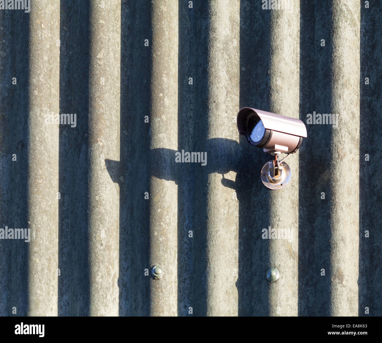 Safe guarding hi-res stock photography and images - Alamy