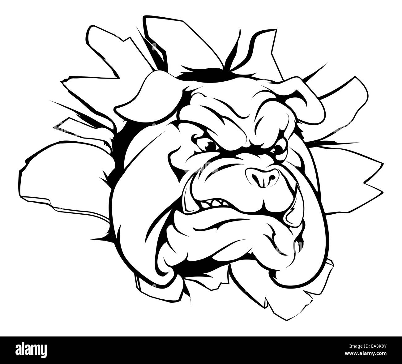 How To Draw A Bulldog Mascot