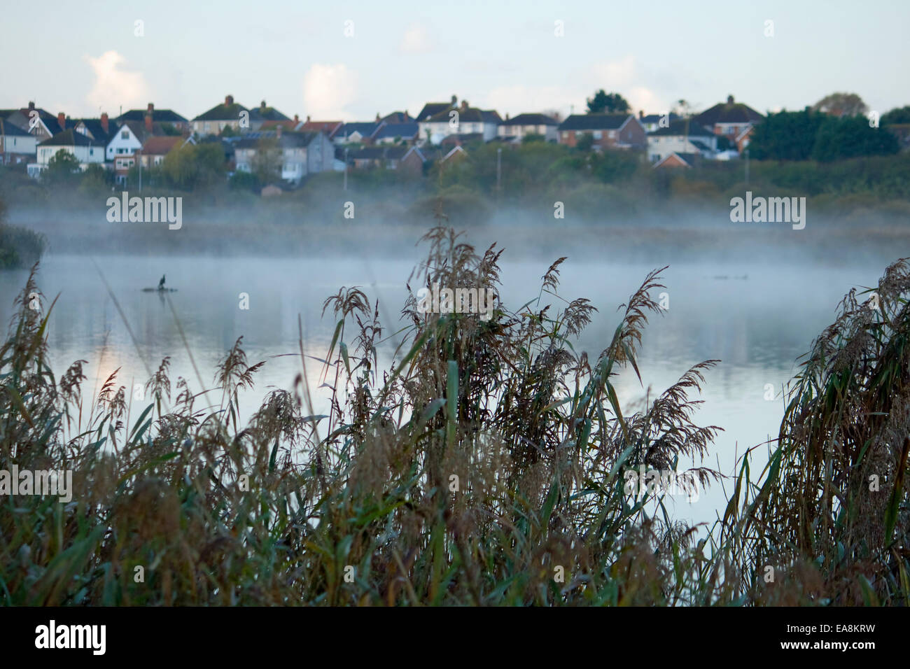 Radipole lake, dorset hi-res stock photography and images - Alamy