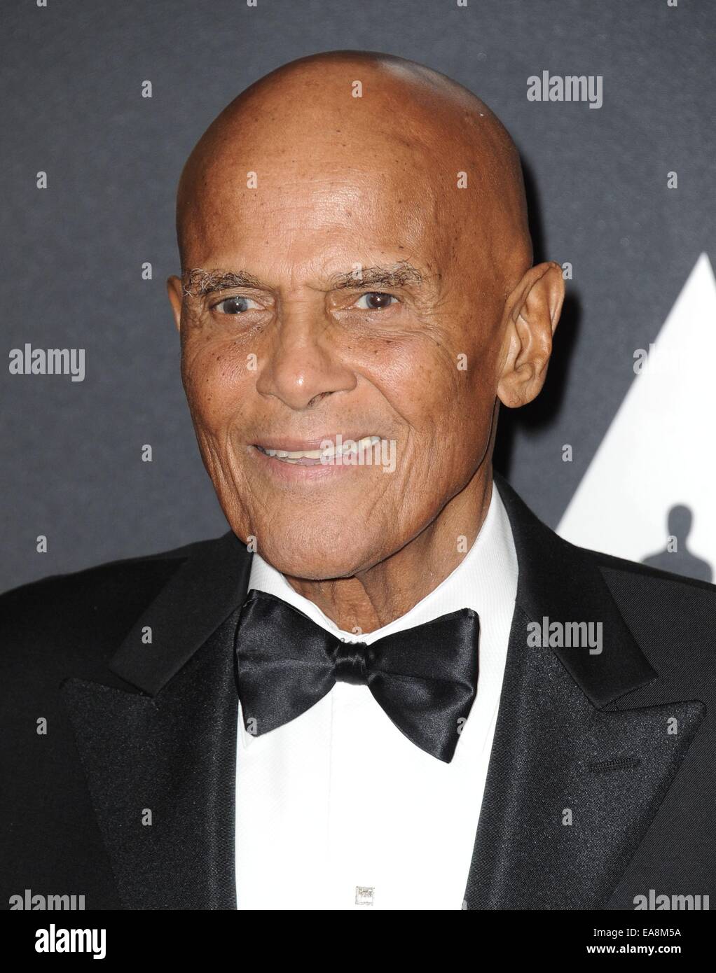 David Michael Belafonte
