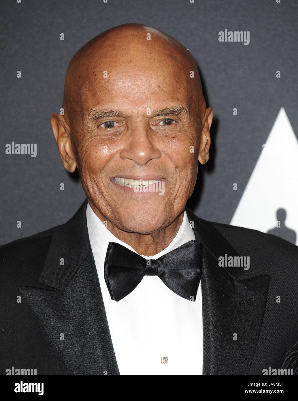 David belafonte hi-res stock photography and images - Alamy