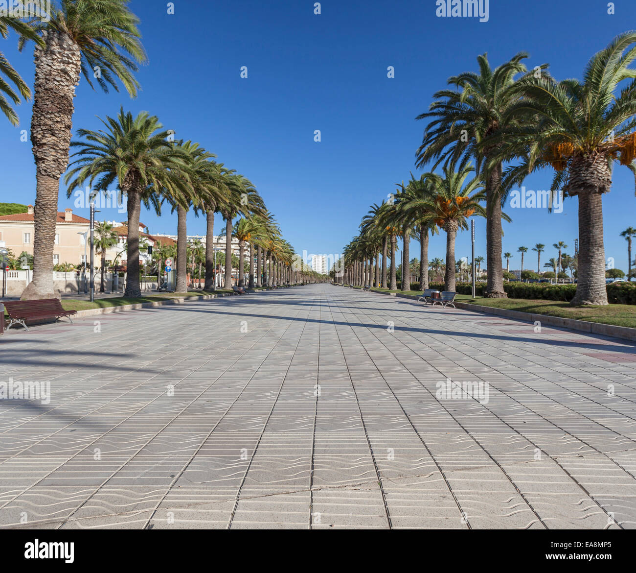 Palm promenade salou spain hi-res stock photography and images - Alamy