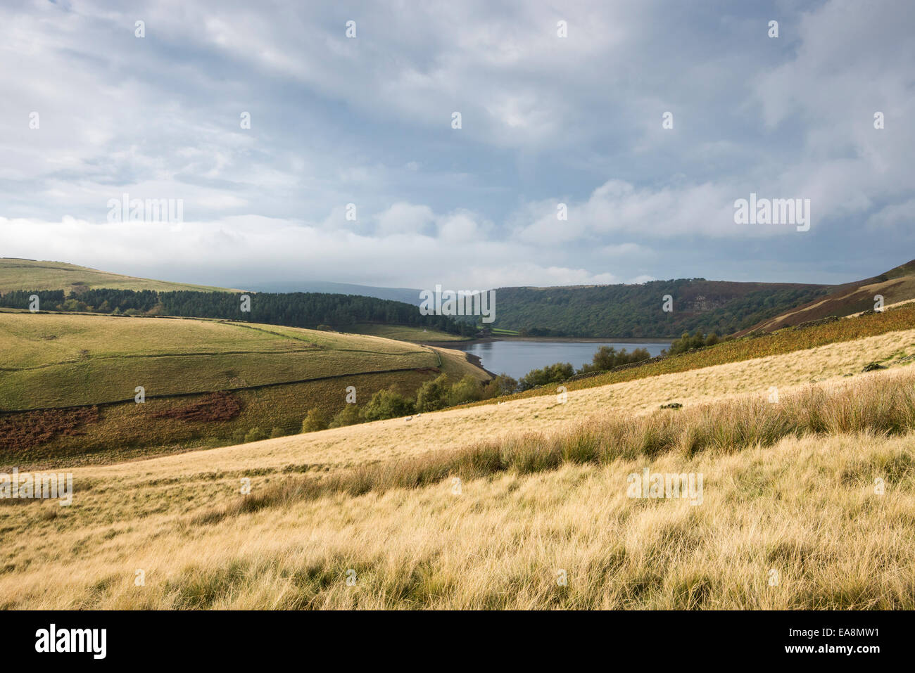 Peak District landscape around Kinder reservoir near Hayfield ...