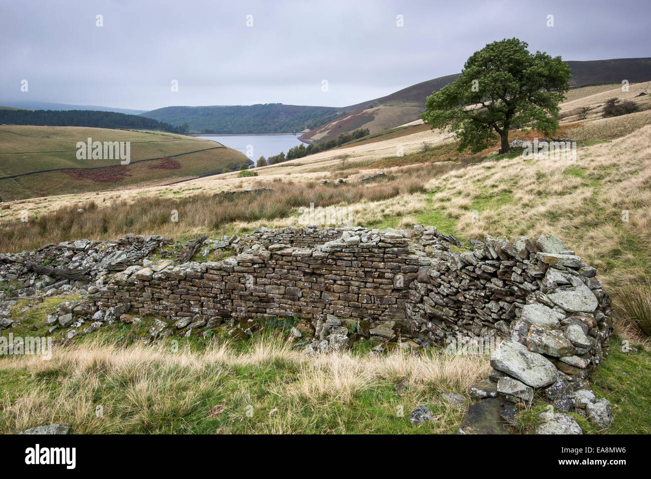 Peak District landscape around Kinder reservoir near Hayfield ...