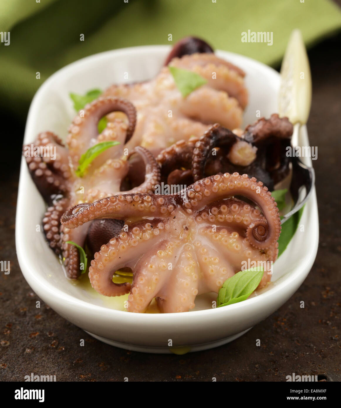 appetizer small marinated octopus (squid) with basil and olive oil ...