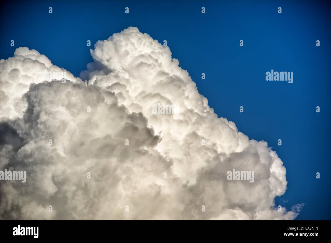 Mediocris hi-res stock photography and images - Alamy