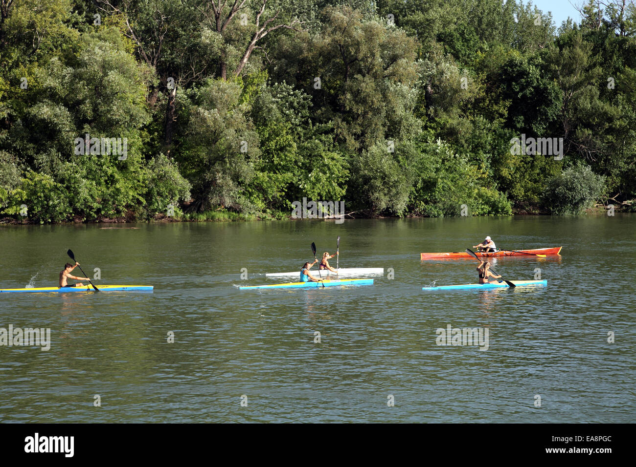Group of canoeists with supervisor in rowing boat paddling on the River ...