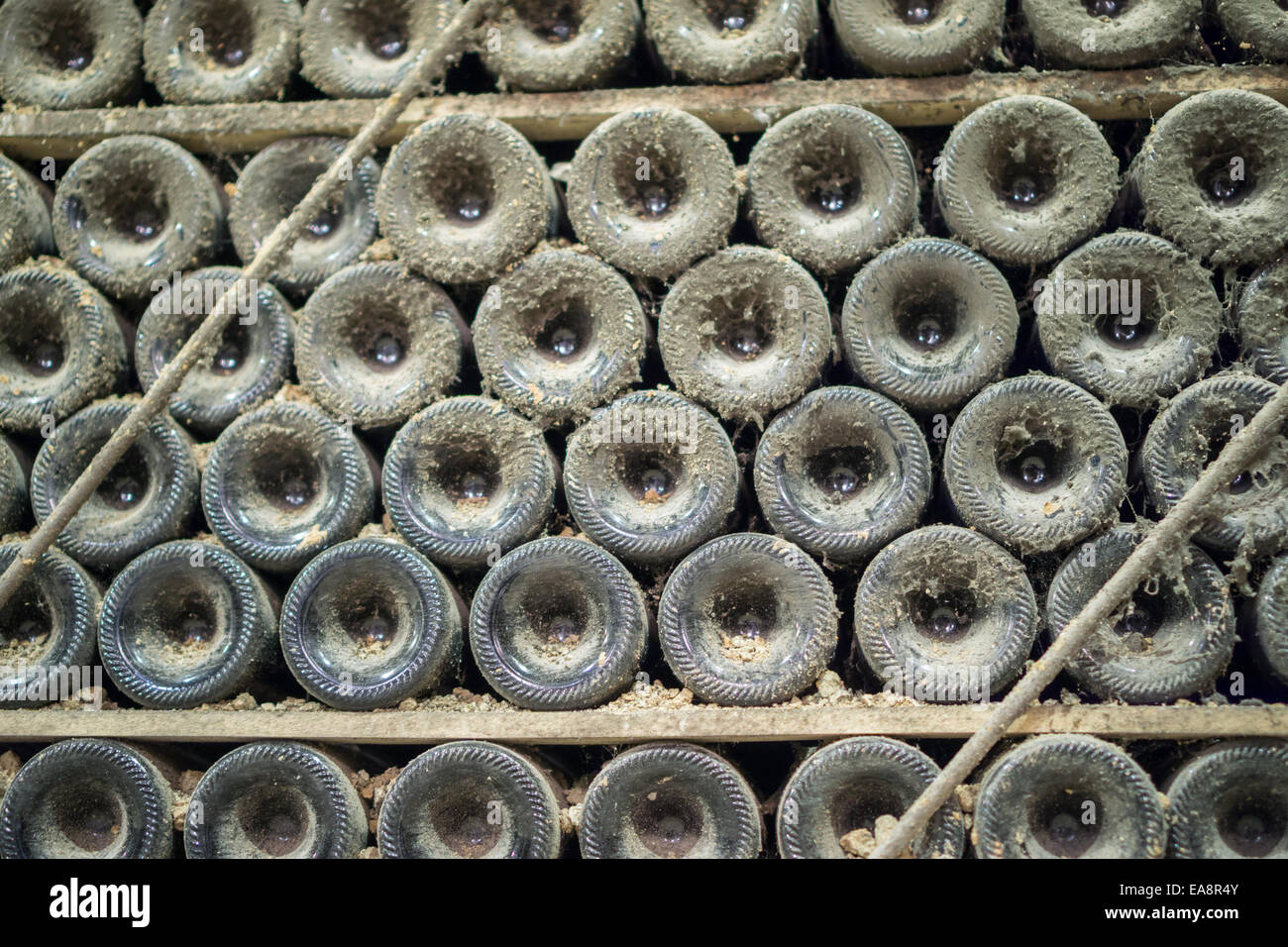 Bottom of old dust covered bottles in wine cellar, shallow depth of ...
