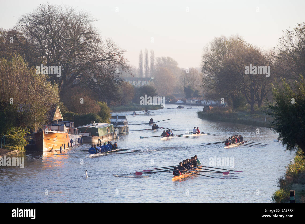Cambridge University student rowers out on the River Cam at sunrise in ...