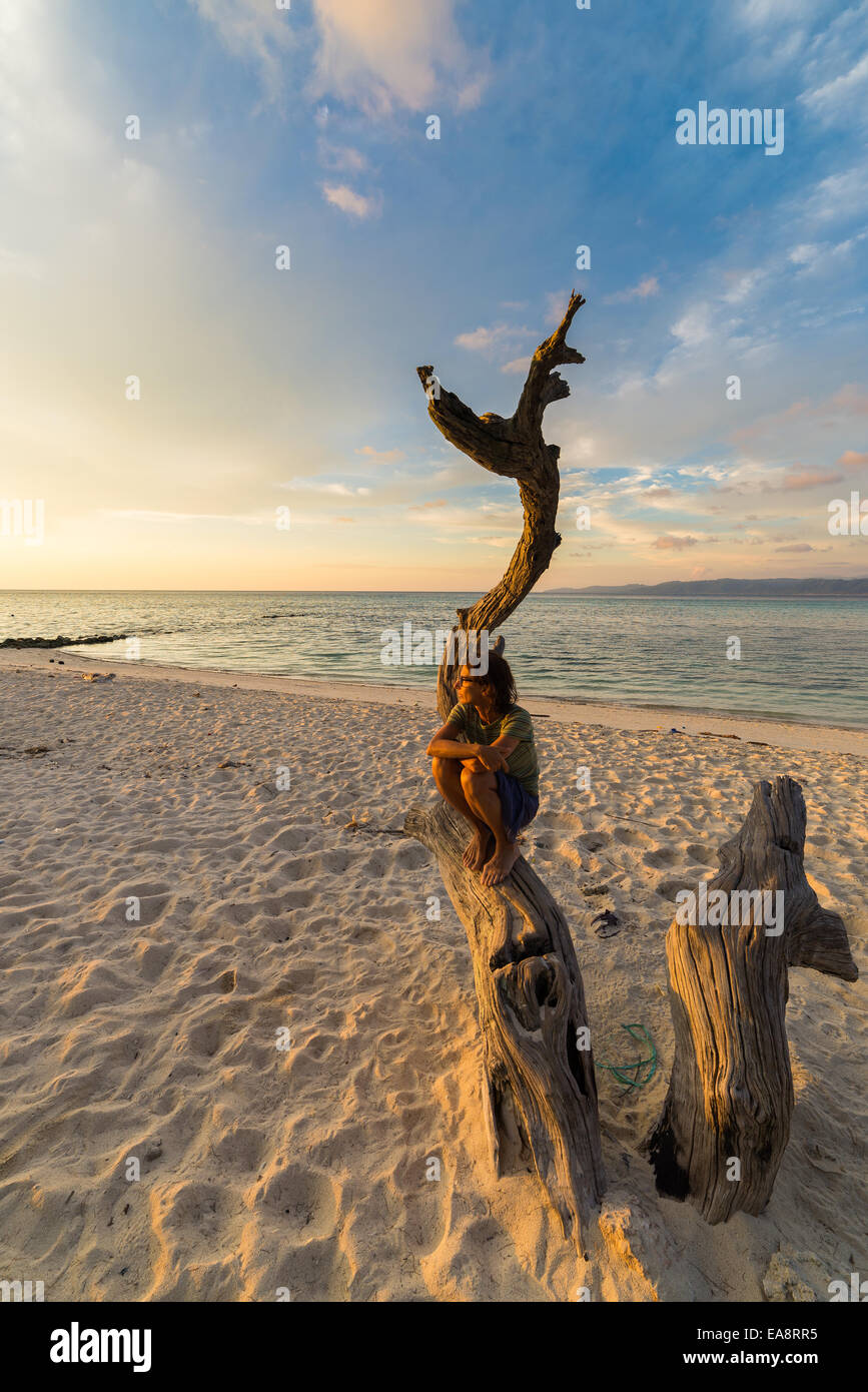 Woman resting on skeletal tree and watching a romantic colorful sunset ...