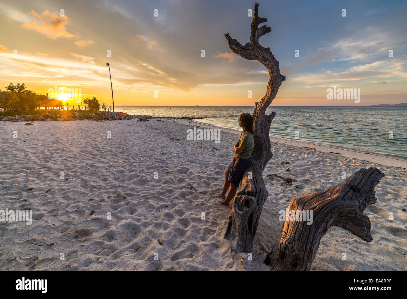 Woman resting on skeletal tree and watching a romantic colorful sunset ...