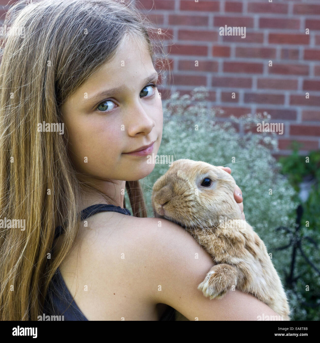 Young girl with rabbit Stock Photo - Alamy