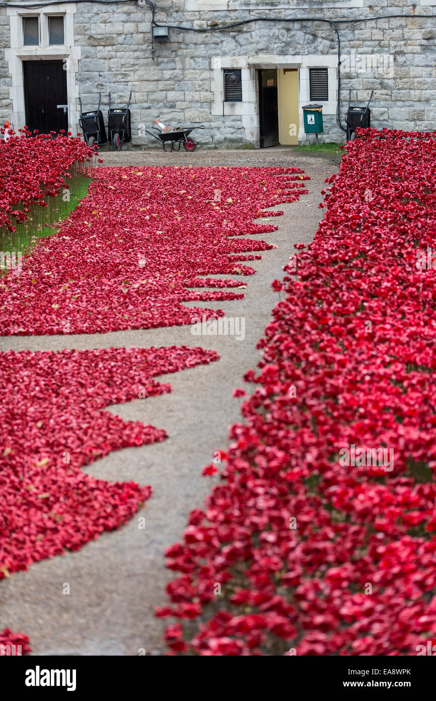 Blood Swept Lands and Seas of Red, art installation in the Tower of ...