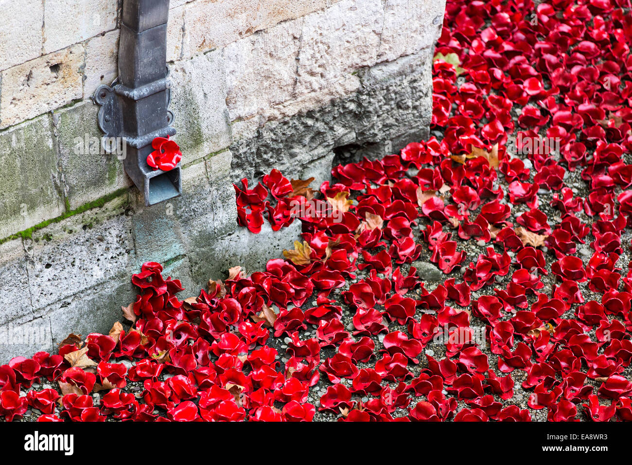 Blood Swept Lands and Seas of Red, art installation in the Tower of ...