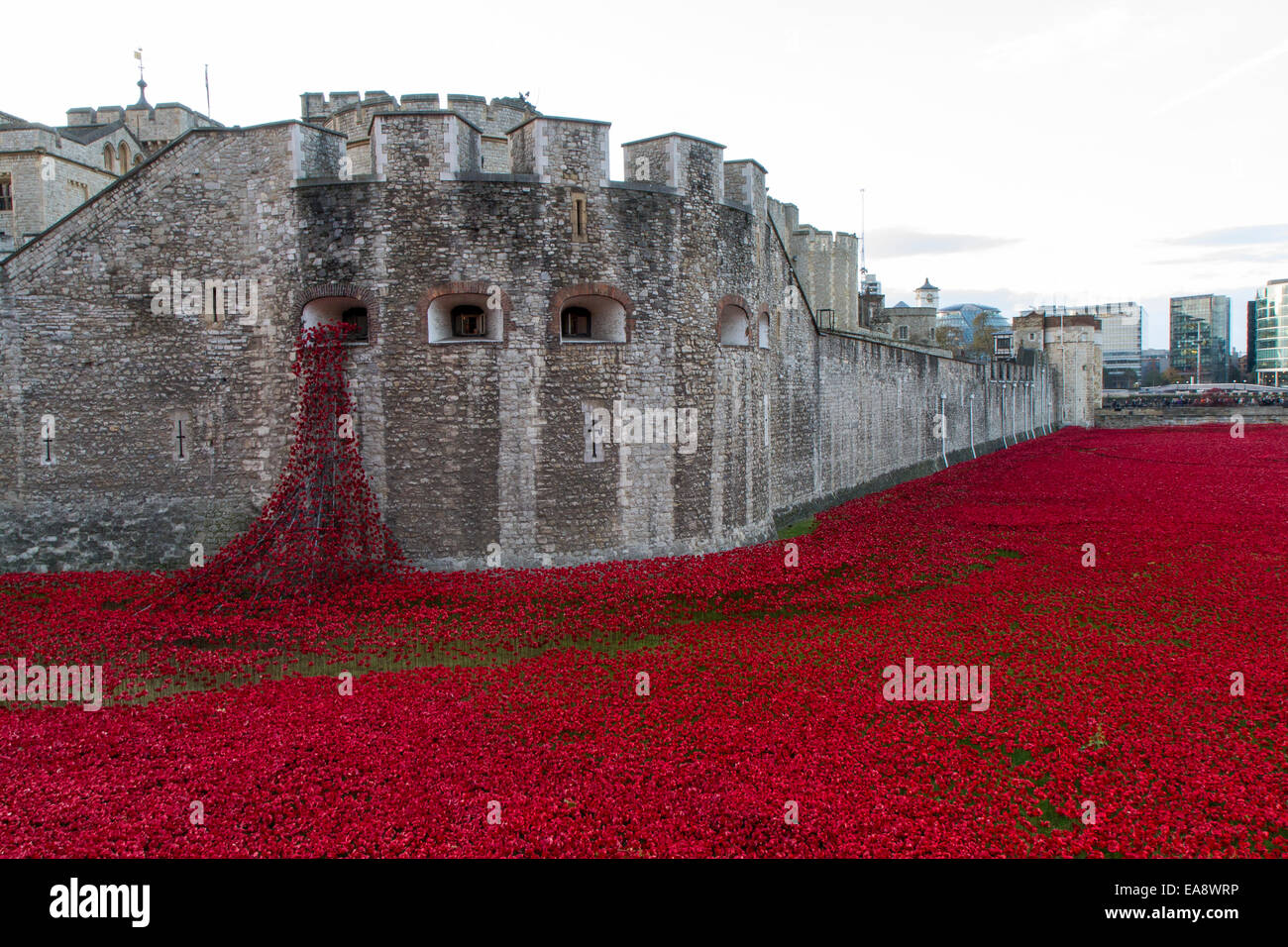 Blood Swept Lands and Seas of Red, art installation in the Tower of ...