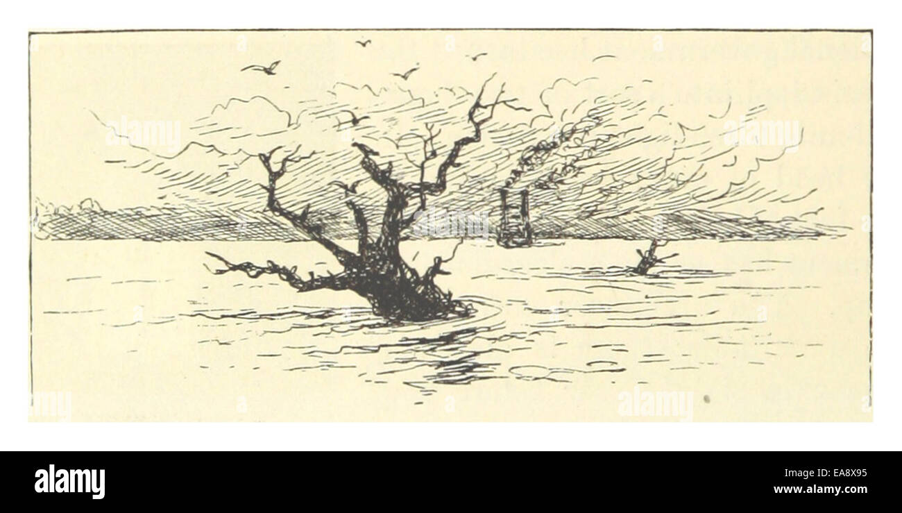 An 1883 illustration from Mark Twain’s works, showing a scene titled ...