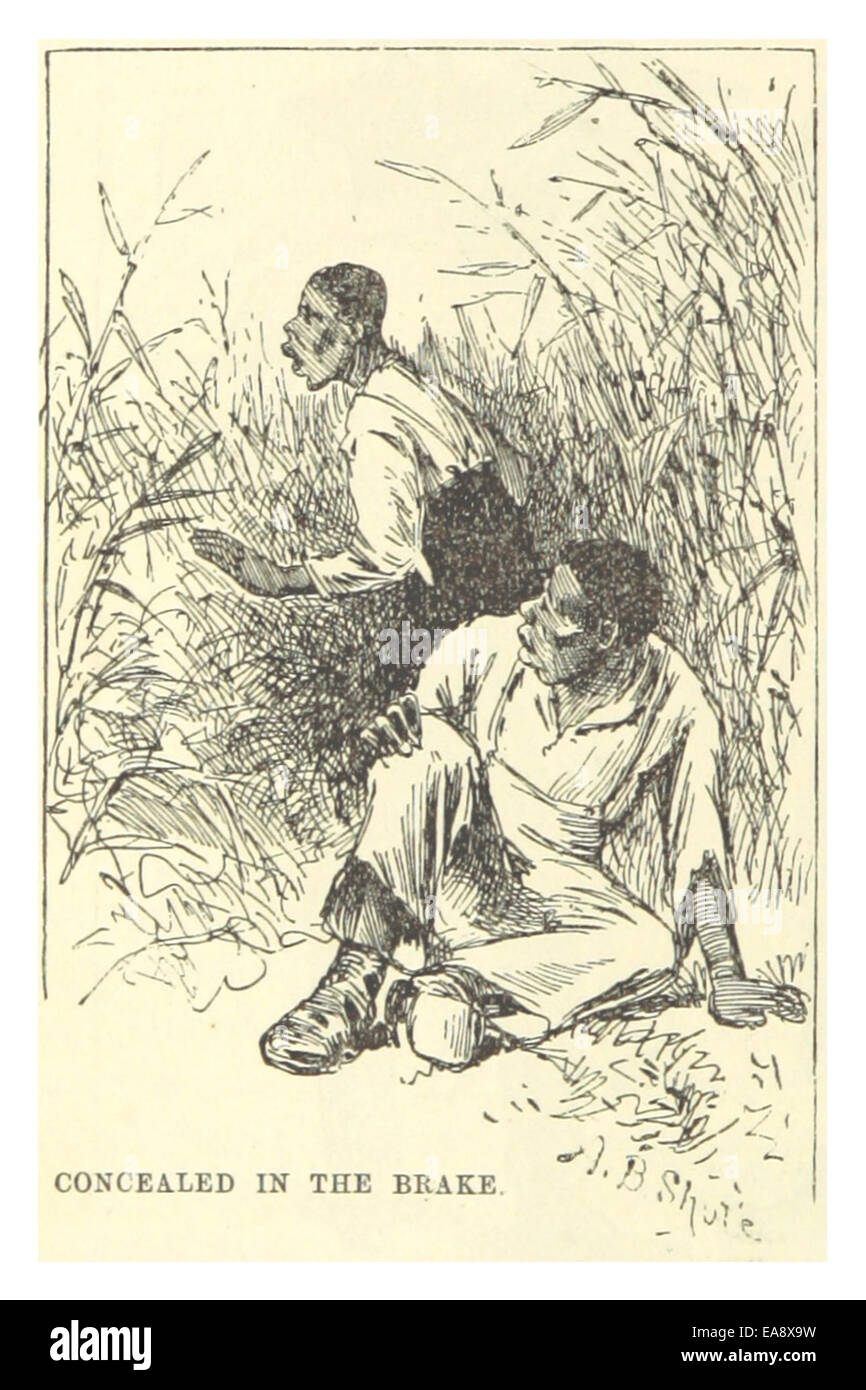 Scenes feature Cut Out Stock Images & Pictures - Alamy