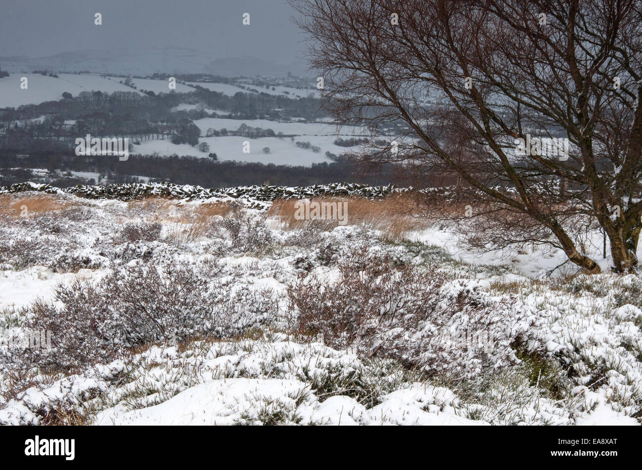 Snowy moorland landscape with dark snow bearing clouds overhead Stock ...