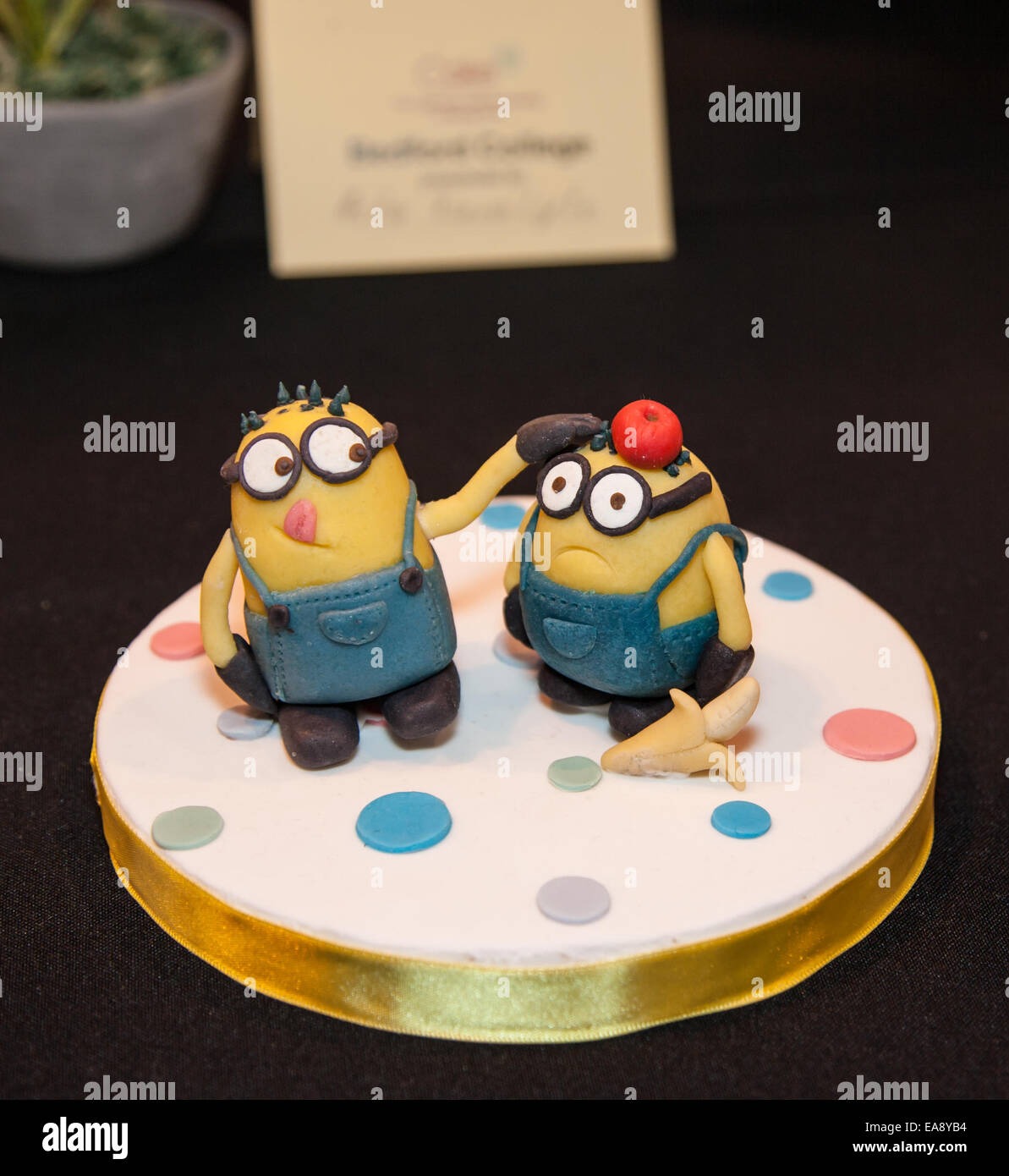 Cake International at the NEC where bakers show off their wonderful ...