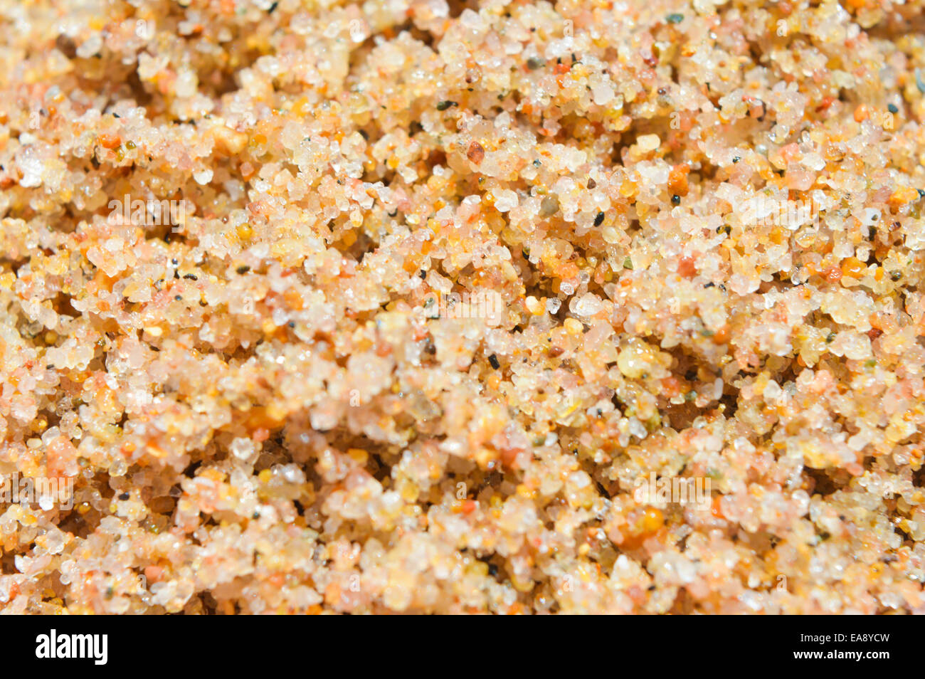 Desert Sand Under Microscope